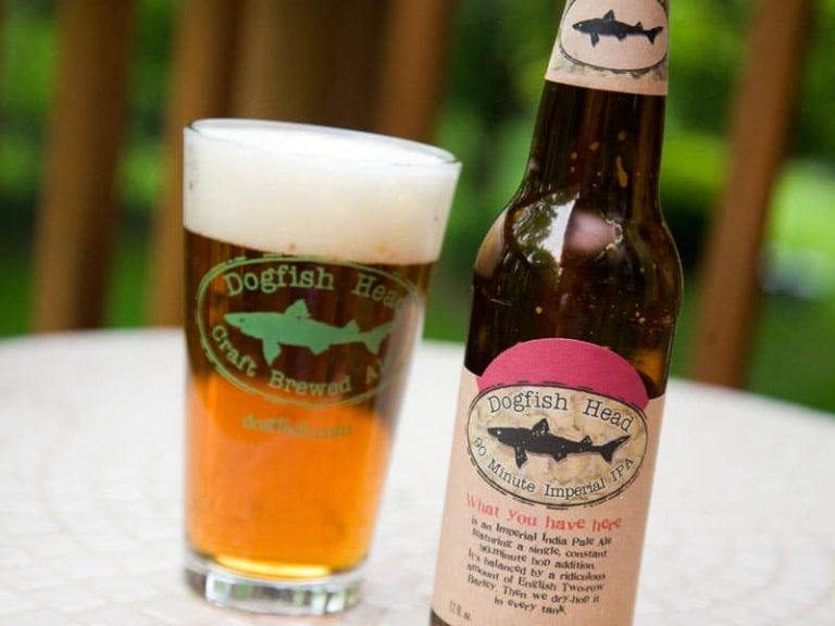 Qu'est-ce qu'une IPA ? Tout savoir sur l'India Pale Ale | Brasserie 90